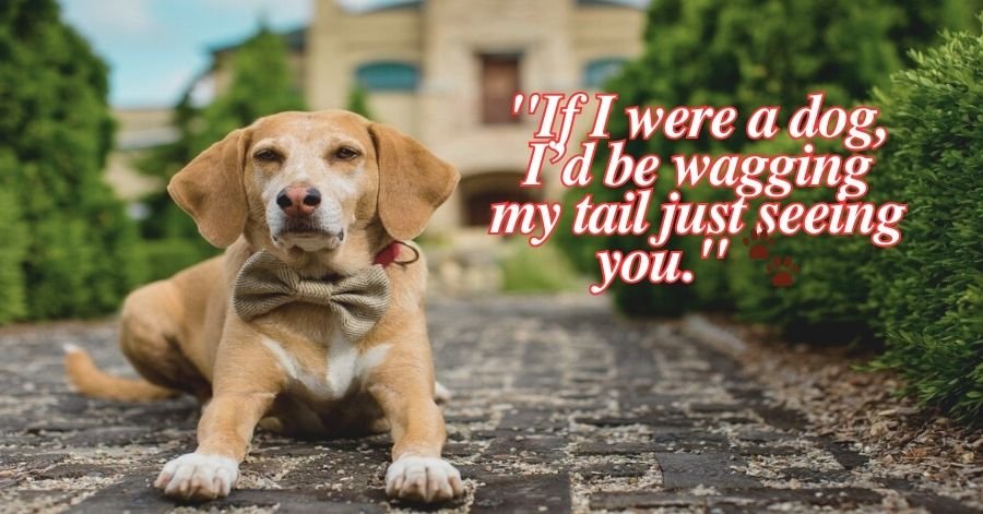 390+ Dog Pickup Lines and Rizz for Dog Lovers - Pozy Magazine